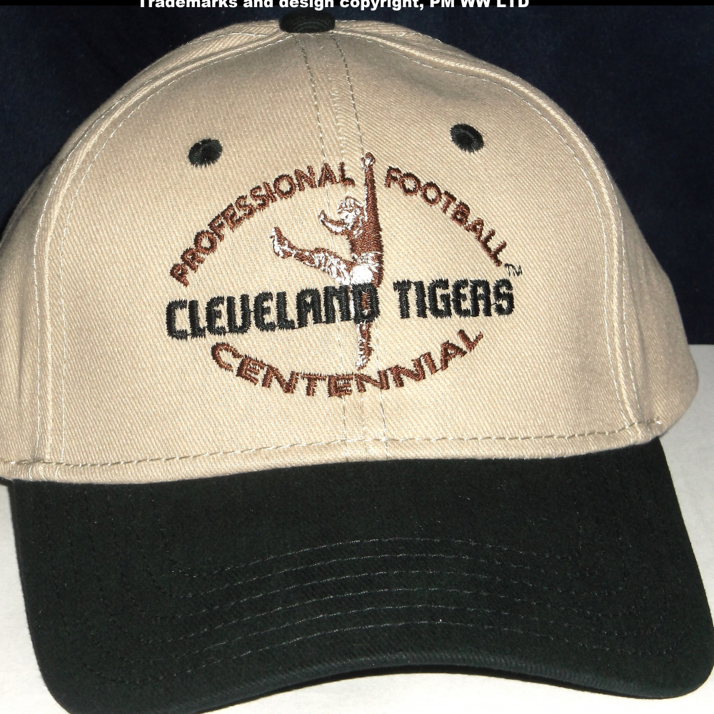profootball100.com Centennial 1920 Original Team Ballcap Series ...