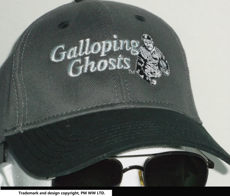 profootball100.com Centennial 1920 Original Team Ballcap Series ...